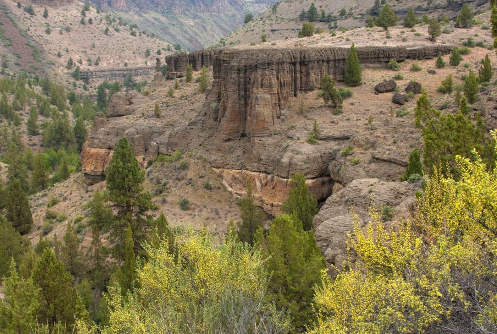 Where To : See Streamside Trees Aflame - Oregon Natural Desert Association