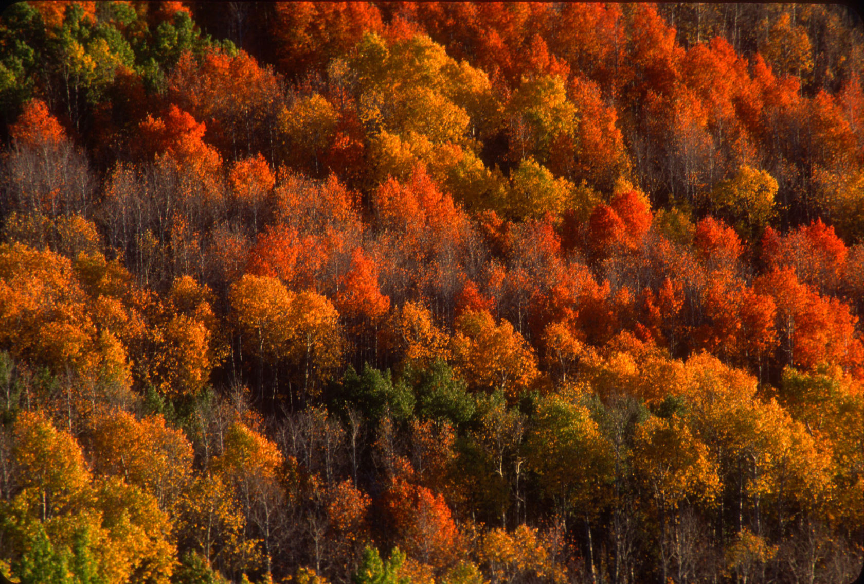 Autumn - The Best Time to Visit Oregon's Desert? - Oregon Natural ...