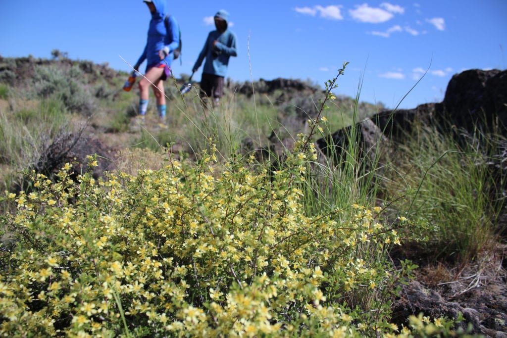 Multi-Day Loop Hikes Along the Oregon Desert Trail - Oregon Natural ...