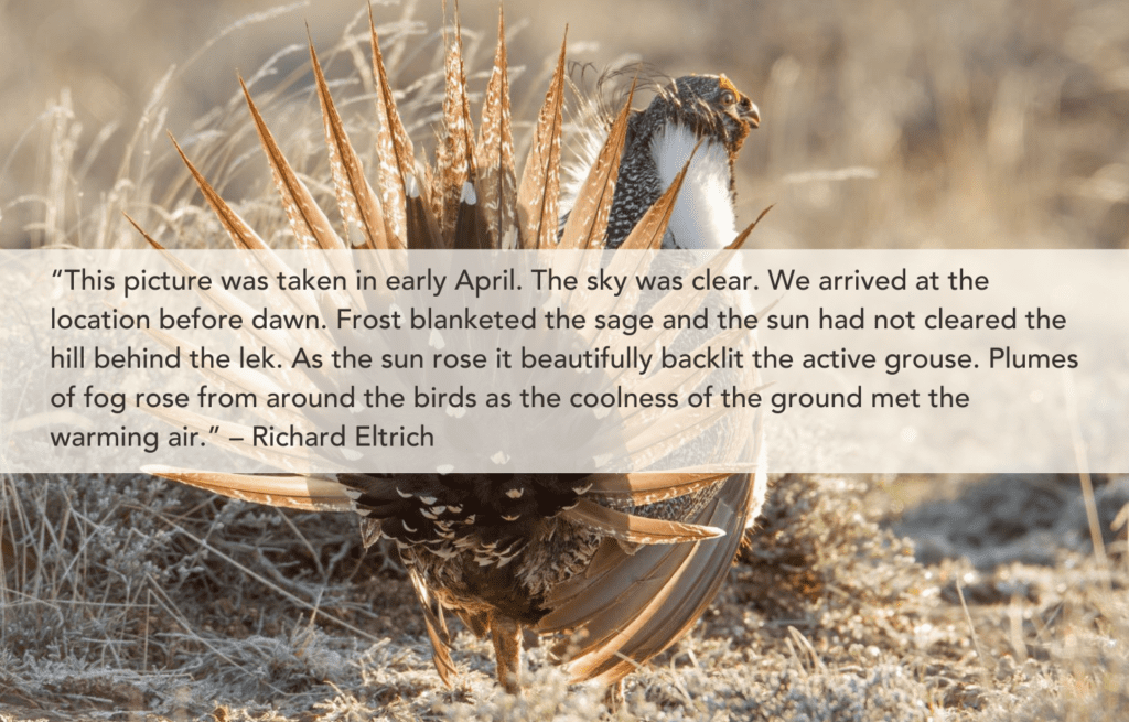 September Detail Shot Richard Eltrich - Oregon Natural Desert Association