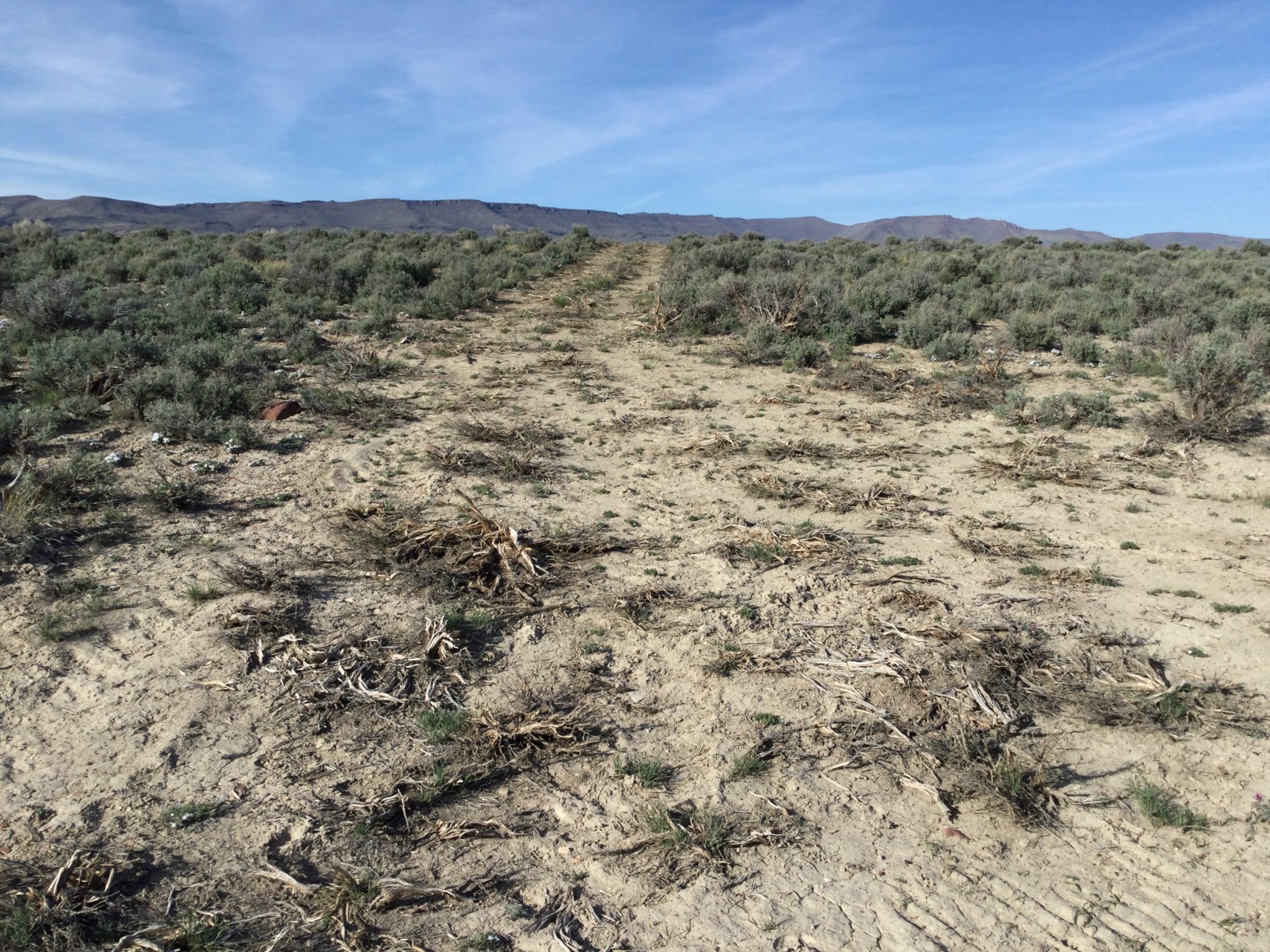 Lithium Mining in Oregon - Oregon Natural Desert Association