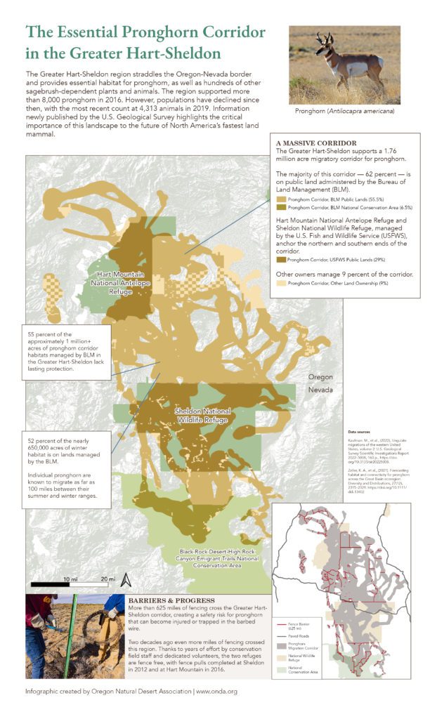 The Essential Pronghorn Corridor in the Greater Hart-Sheldon - Oregon ...
