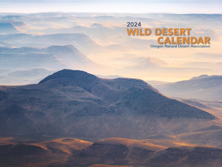 Wild Desert Calendar - Oregon Natural Desert Association