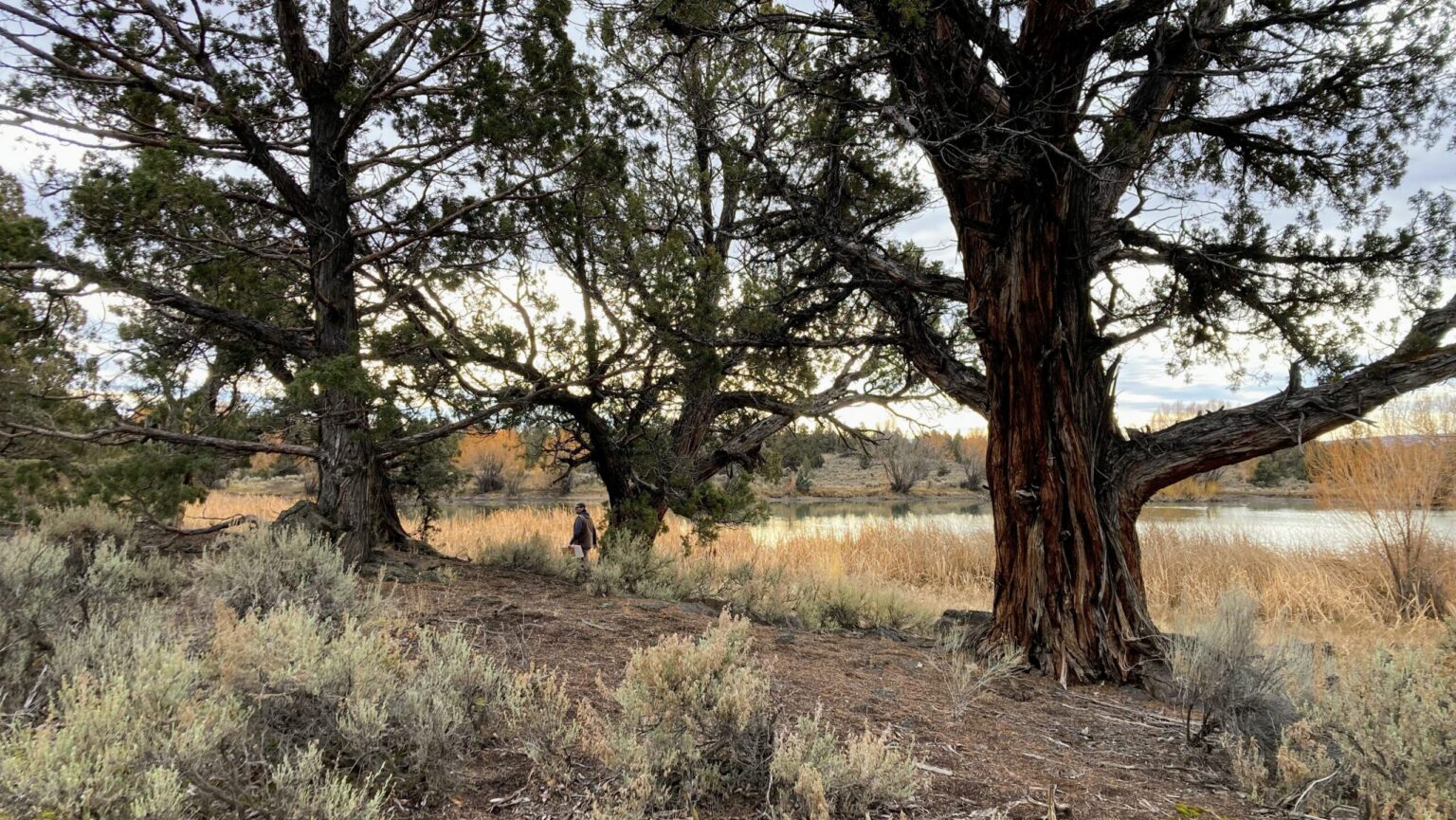 Reynolds_Pond - Oregon Natural Desert Association