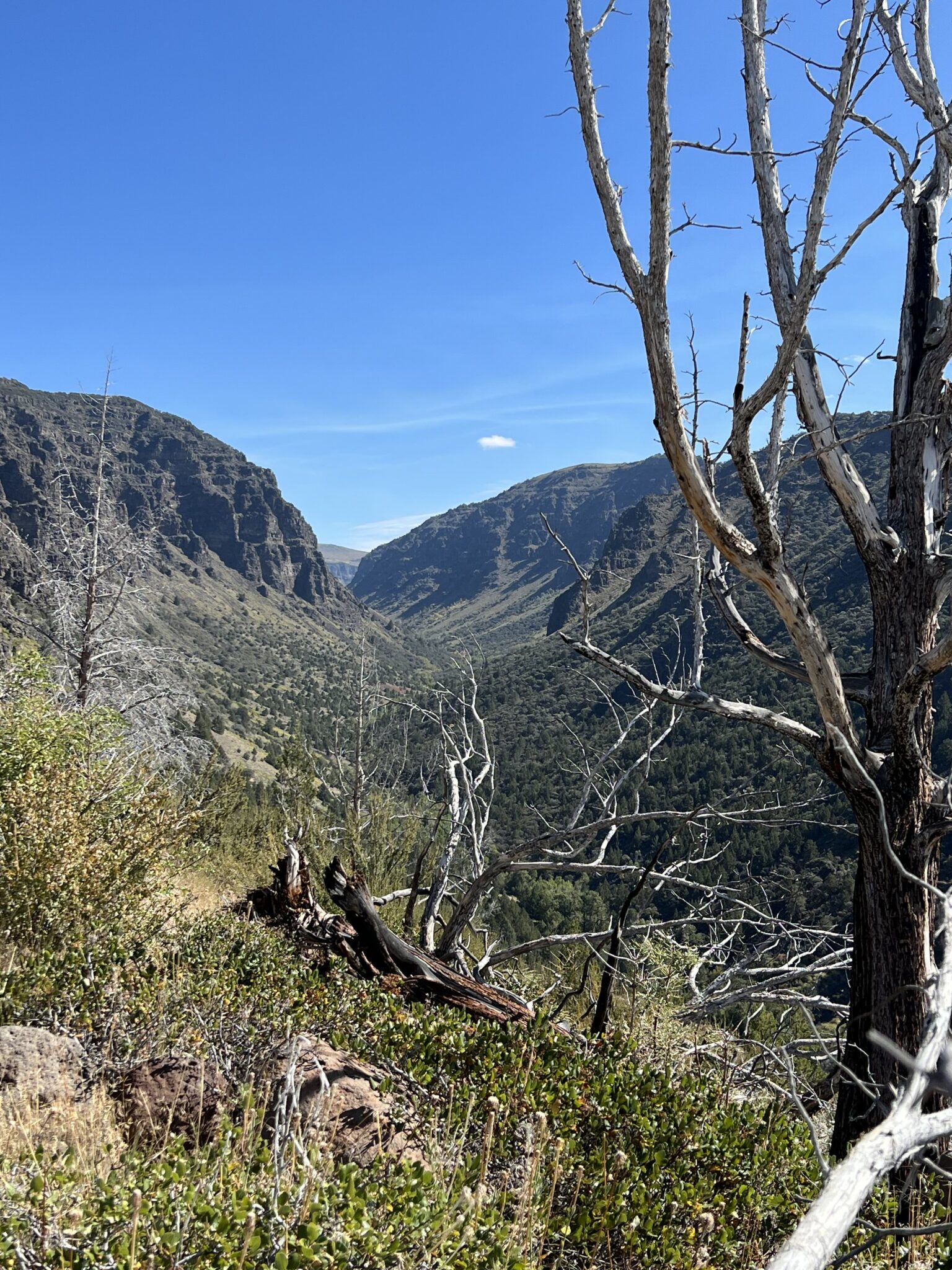 Discover the Desert in a Day - Oregon Natural Desert Association